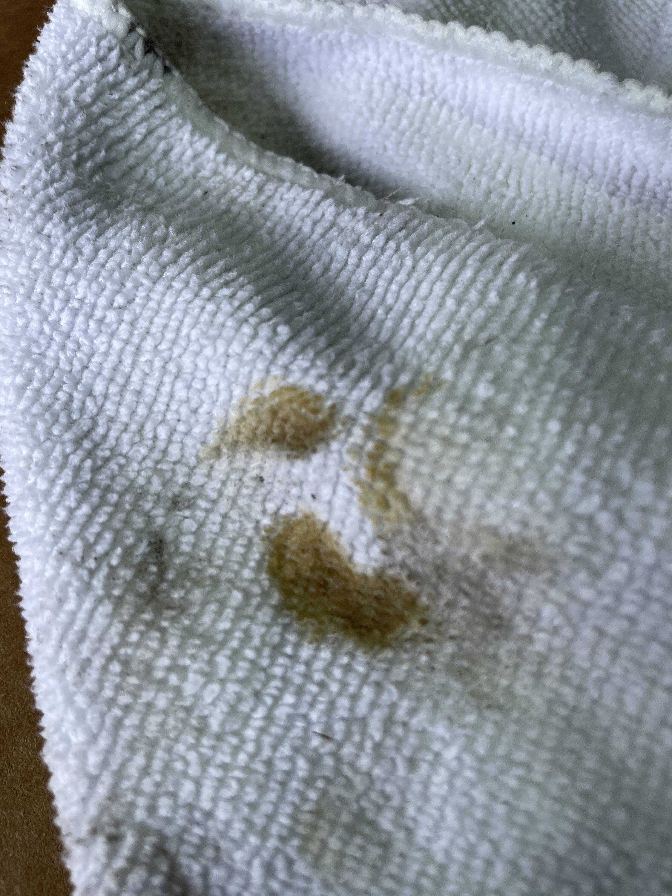 2019 2WD Rear Differential Fluid Change Write-Up (~47K Miles) | 2019 ...