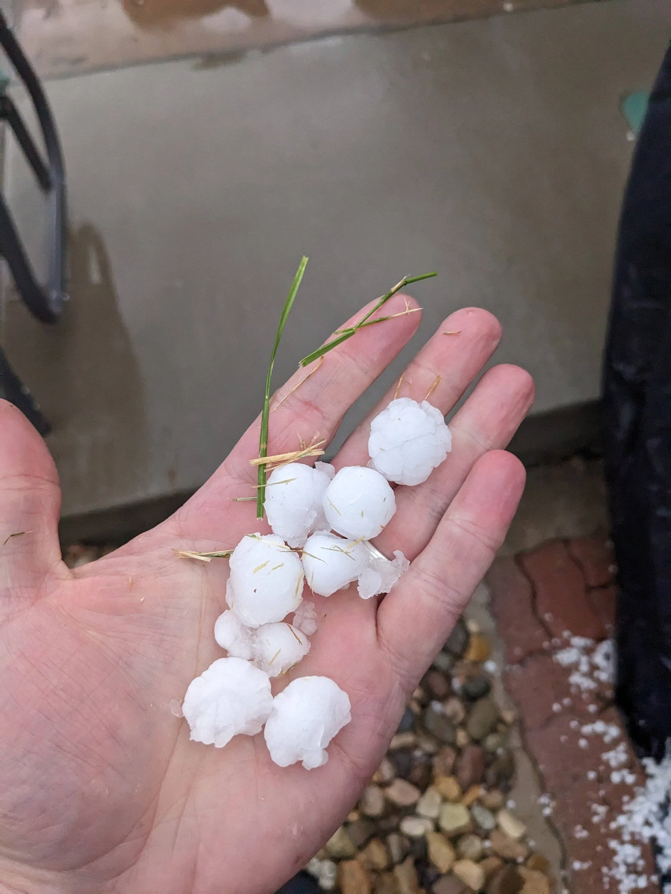 Guesses on hail damage? | 2019+ Ford Ranger and Raptor Forum (5th ...