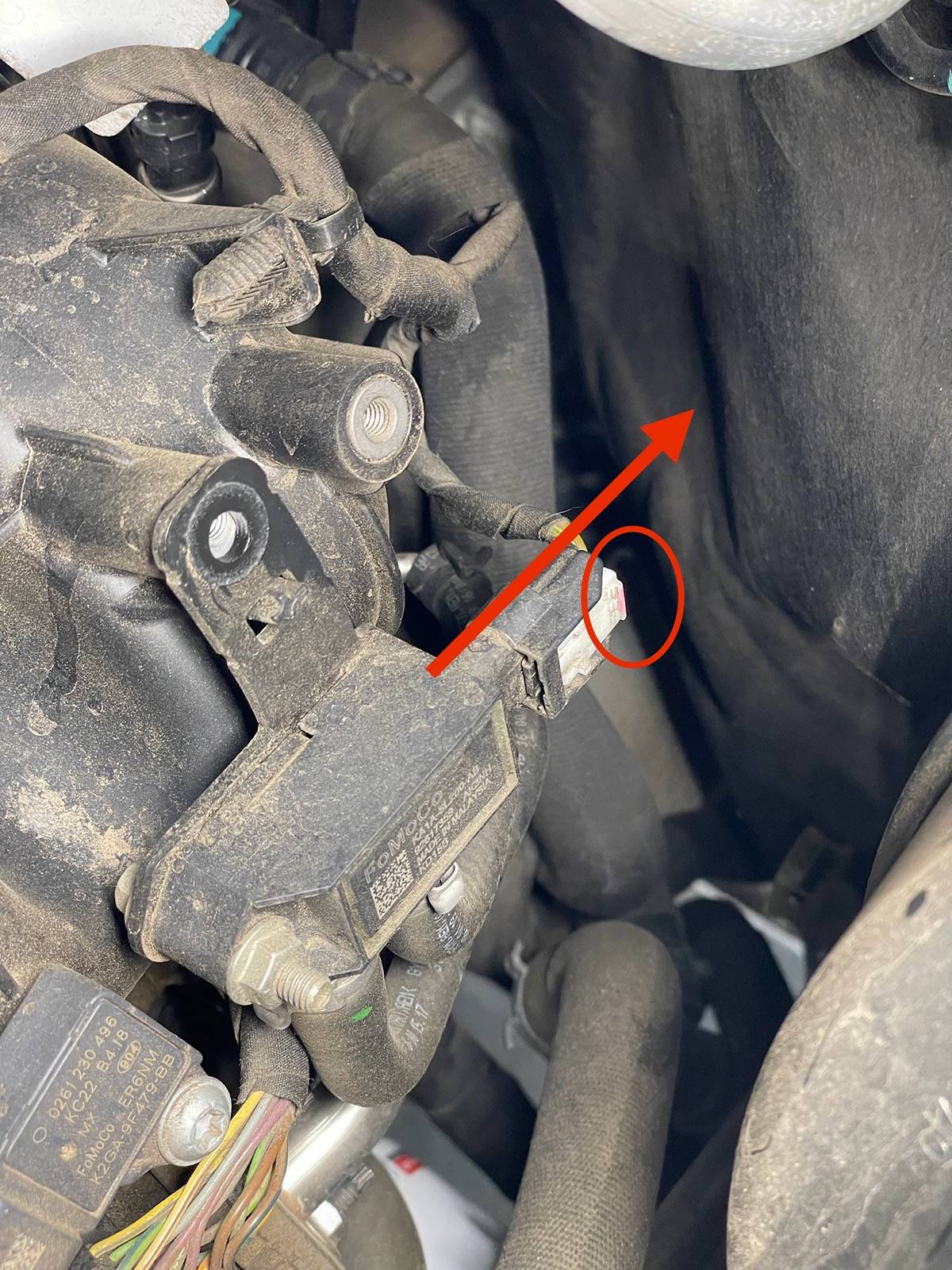 EGR DPFE Sensor Assembly Replacement Write-Up (LB5Z-9J433-B) | 2019 ...